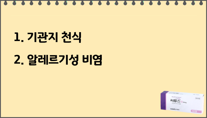 씨투스정 50mg 알레르기성 비염 천식약 부작용과 복용법 꼭 확인하세요