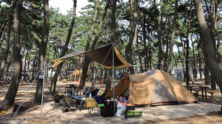 전라북도 부안 고사포 야영장 예약 가격 위치 운영형태