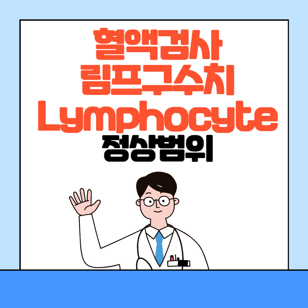 림프구lymphocyte란 혈액검사 림프구 수치 정상범위
