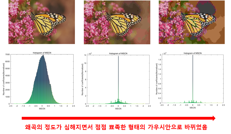 [IQA] 이미지품질평가 분야의 셀럽, BRISQUE by bskyvision.com