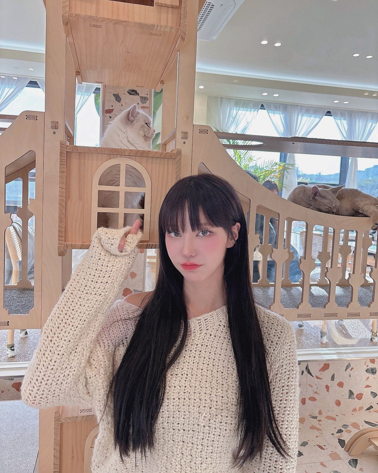 스트리머 겨우디 근황 프로필 인스타그램 트위치 틱톡