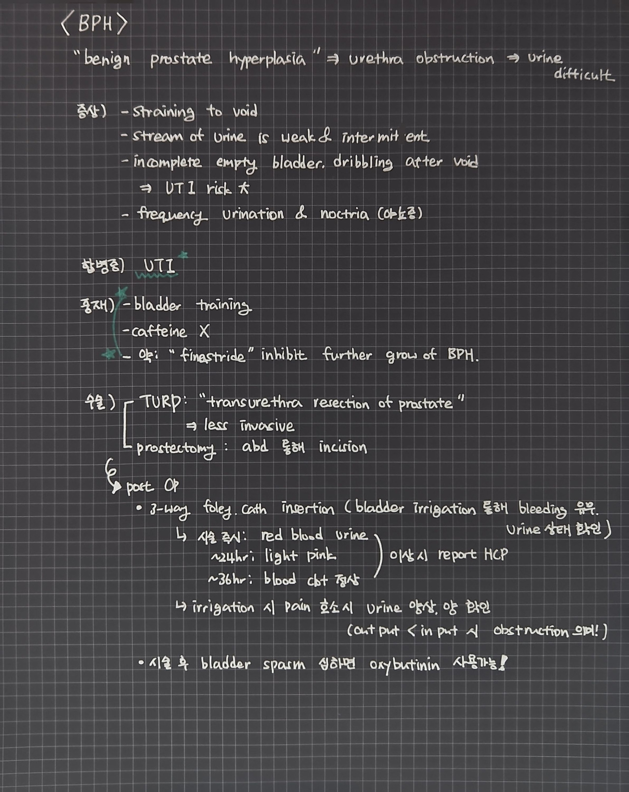 [NCLEX] BPH,양성전립선비대증