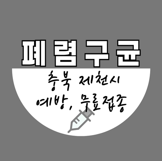 충북 제천시 폐렴구균 예방접종 무료 가격비교 65세 이상 노인 어르신 무료 접종 확인 방법 백신 13가 15가