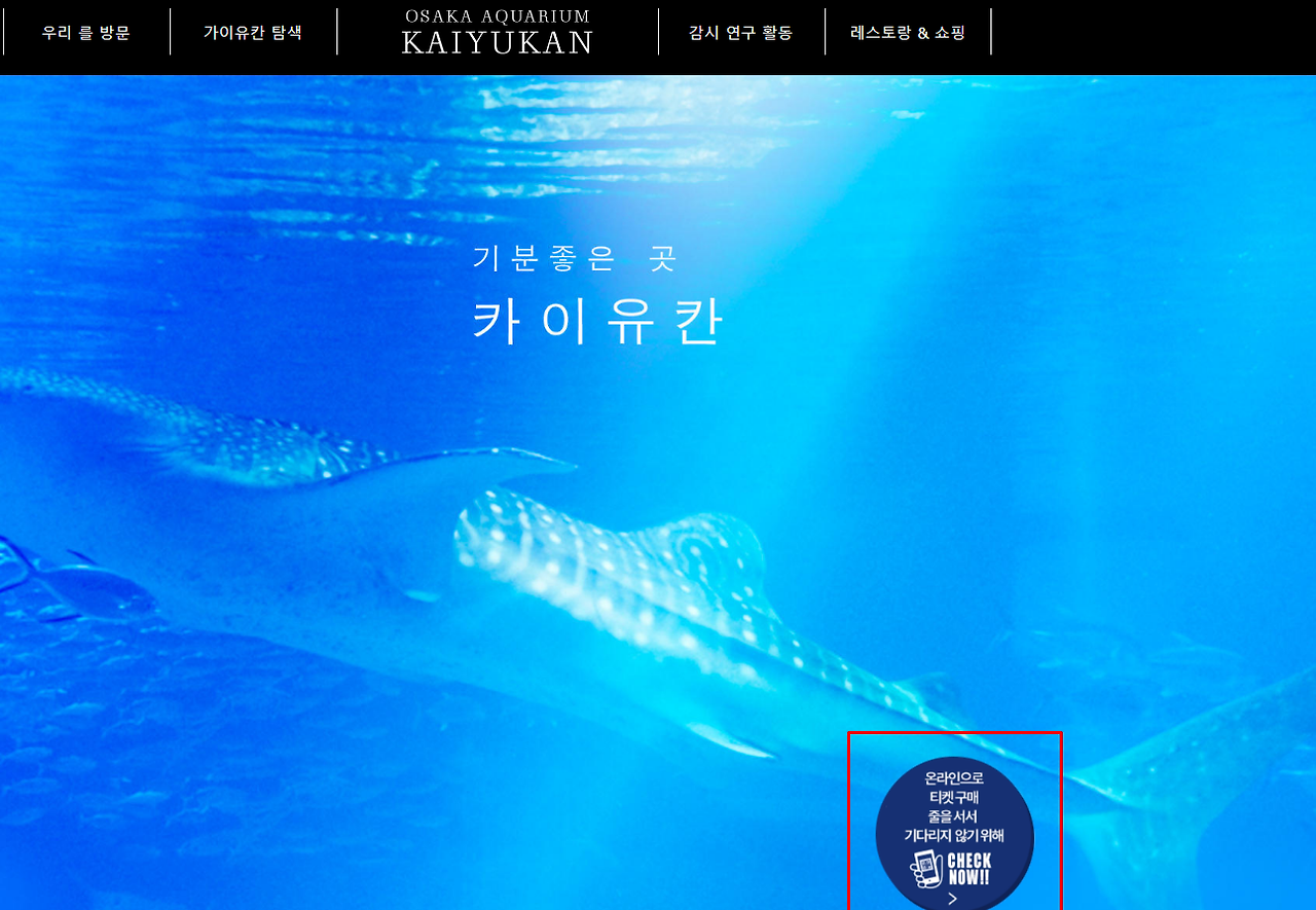 오사카 해유관 티켓 구매 방법