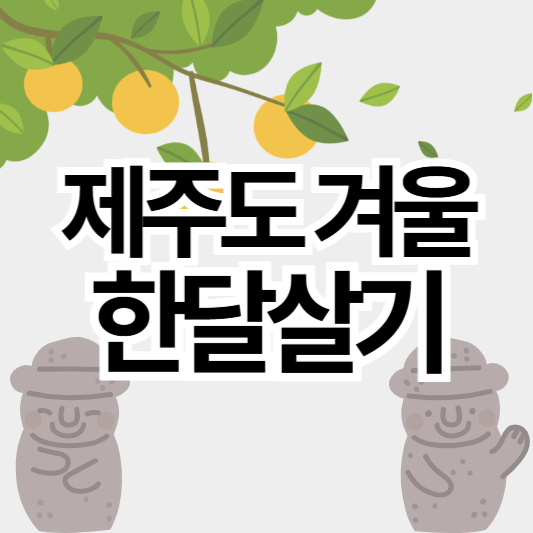 제주도 겨울 한달살기 준비물 숙소 예약 꿀팁