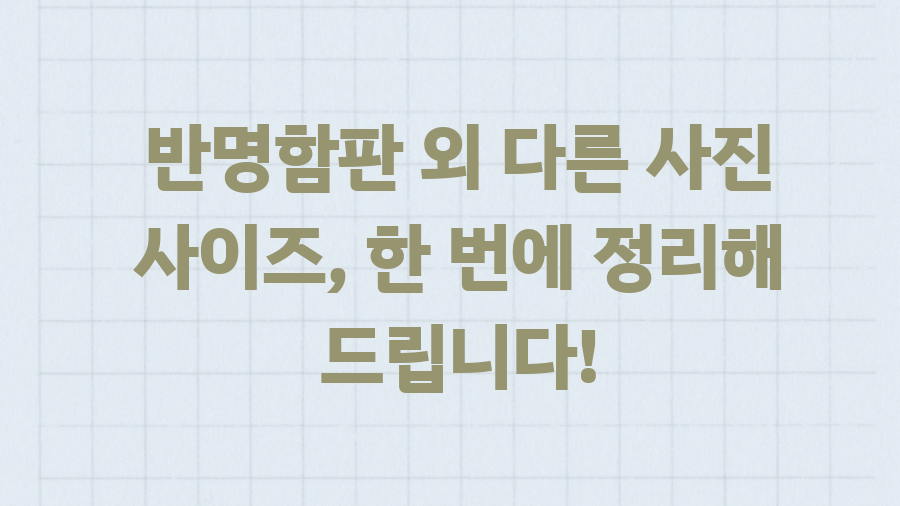 반명함판 사이즈 5분 만에 끝내는 꿀팁 대방출