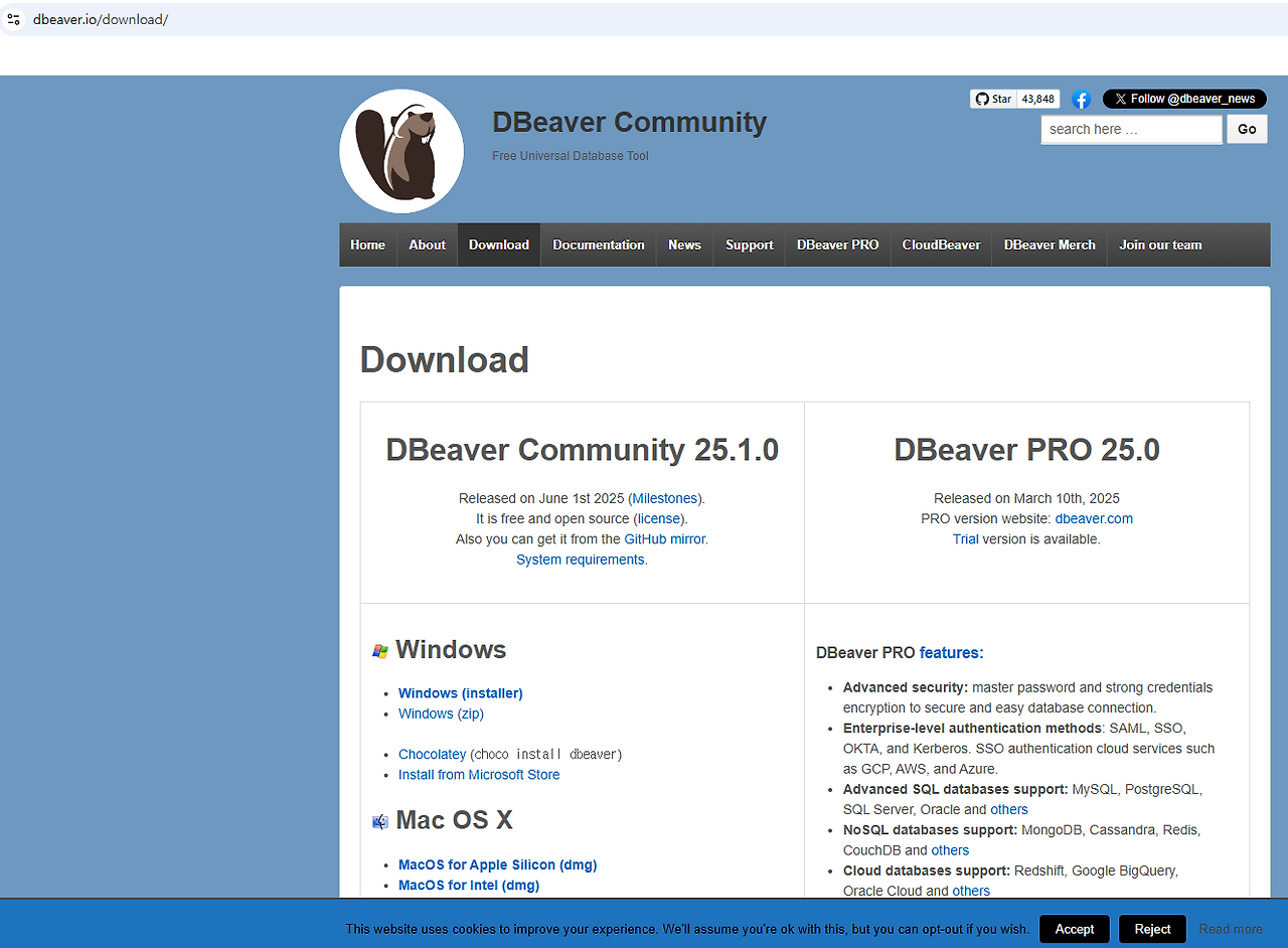 [DBeaver] 설치