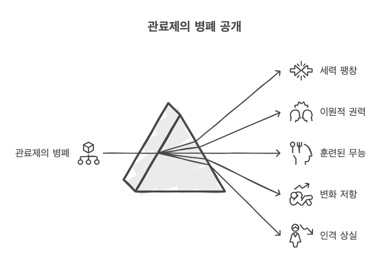 행정학 관료제 모형과 특징 및 주요단점