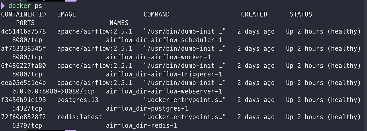 [Airflow] CLI에서 Docker Airflow 로그인