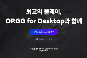 OP.GG 다운로드 받기 - 둥이아범