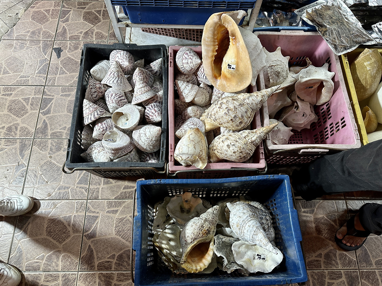 코타키나발루 필리피노 마켓 필리피노 야시장 코타키나발루 두리안 살 수 있는 곳 코타키나발루 로컬마켓 코타키나발루 야시장