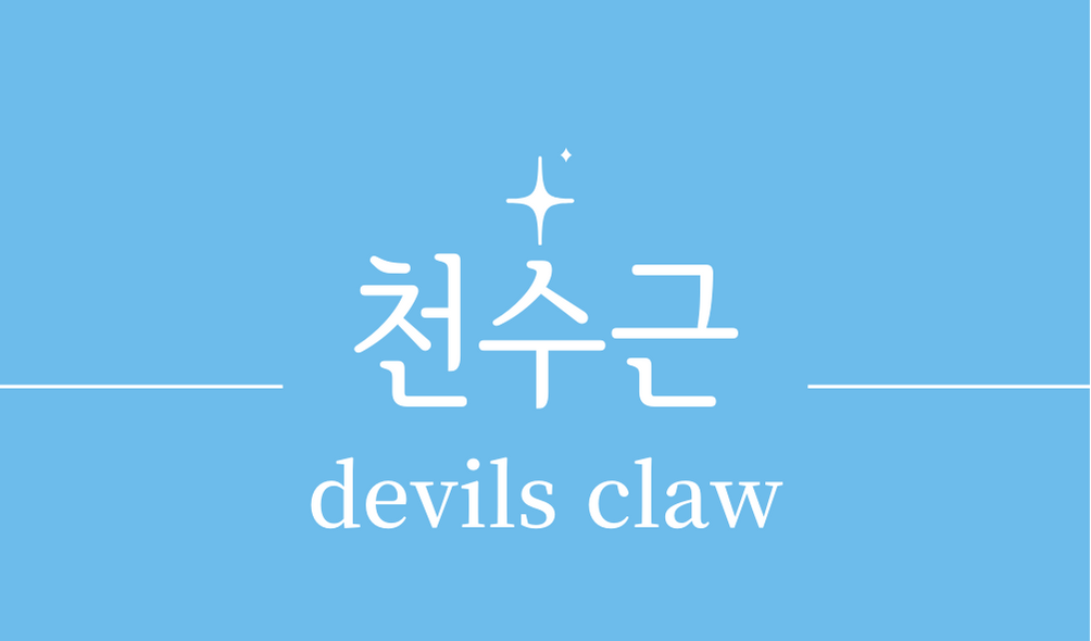 악마의 발톱 천수근devils Claw효능효과영양성분주의사항다양한 요리 활용법