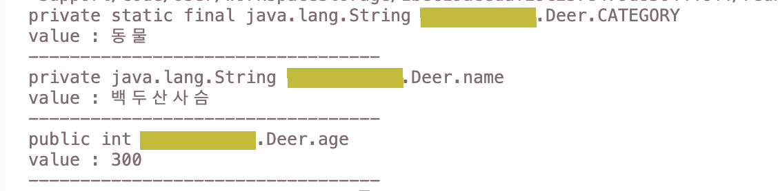 [Java] Reflection; 리플렉션이 뭔데