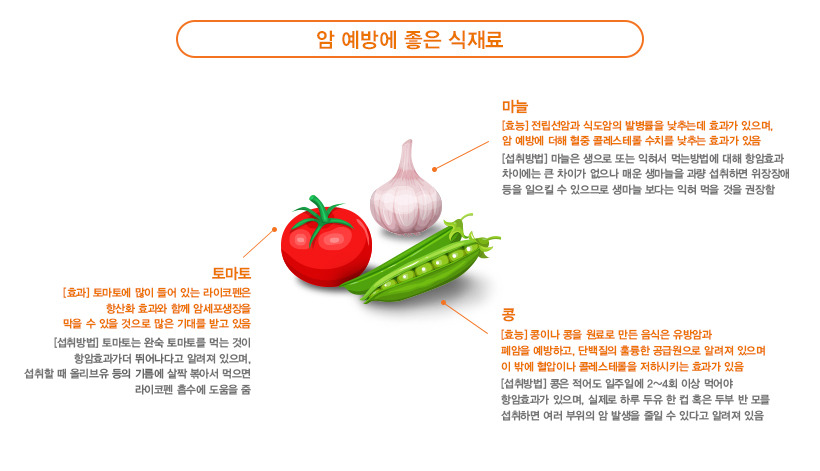 암 예방에 좋은 식재료와 효과적인 섭취 방법은