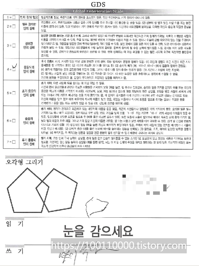 노인간호, Mini-Mental State Examination : MMSE-K, 치매사정도구 , 노인치매사정, 치매검사