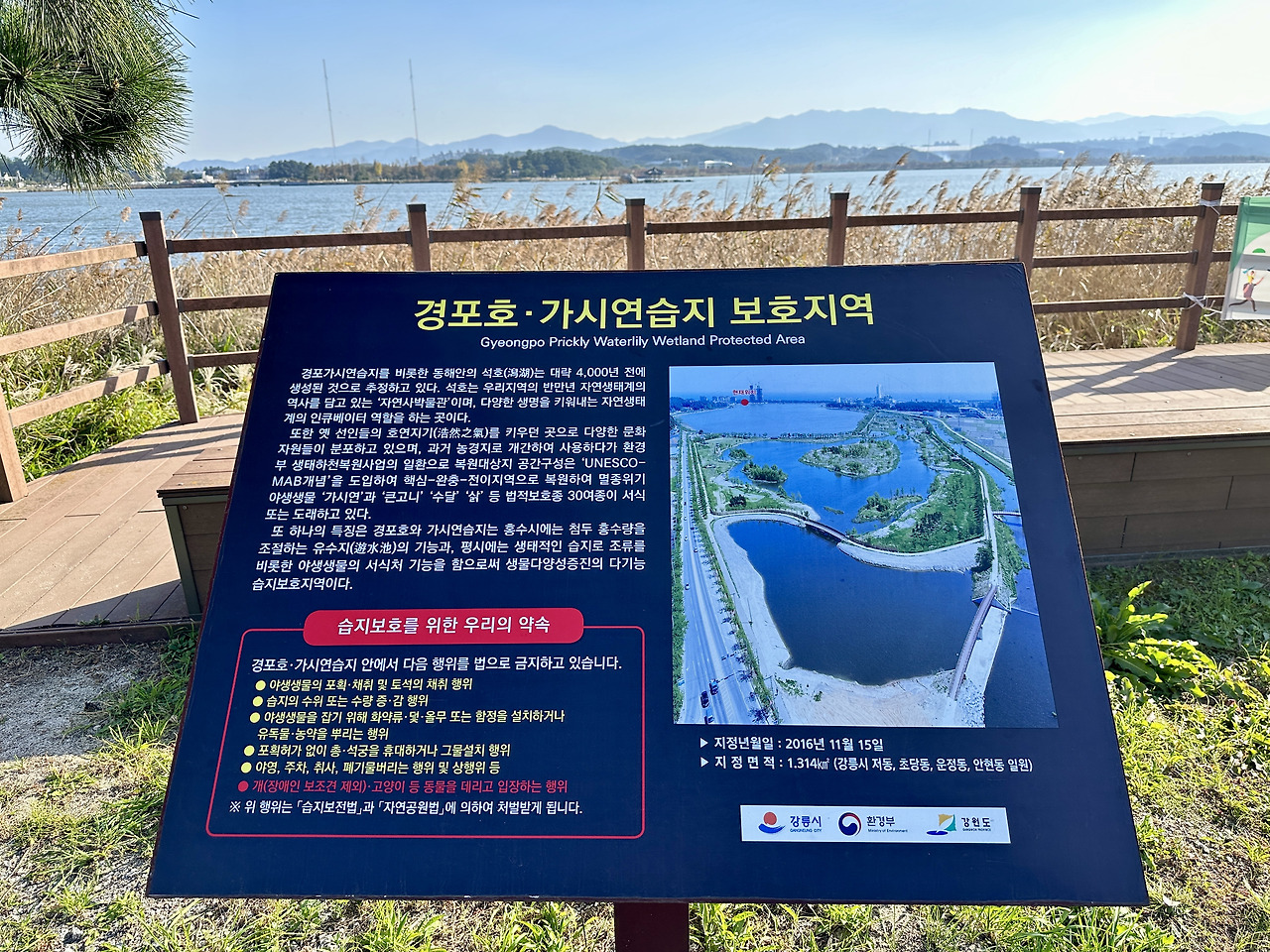 경포대 가볼만한 곳 추천 경포대 해수욕장 주차장 경포호수 둘레길