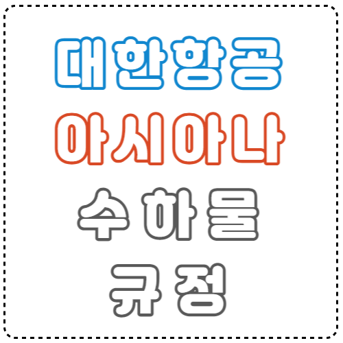 대한항공 아시아나 수하물 규정 캐리어 가방의 규격크기 무게 갯수 기준