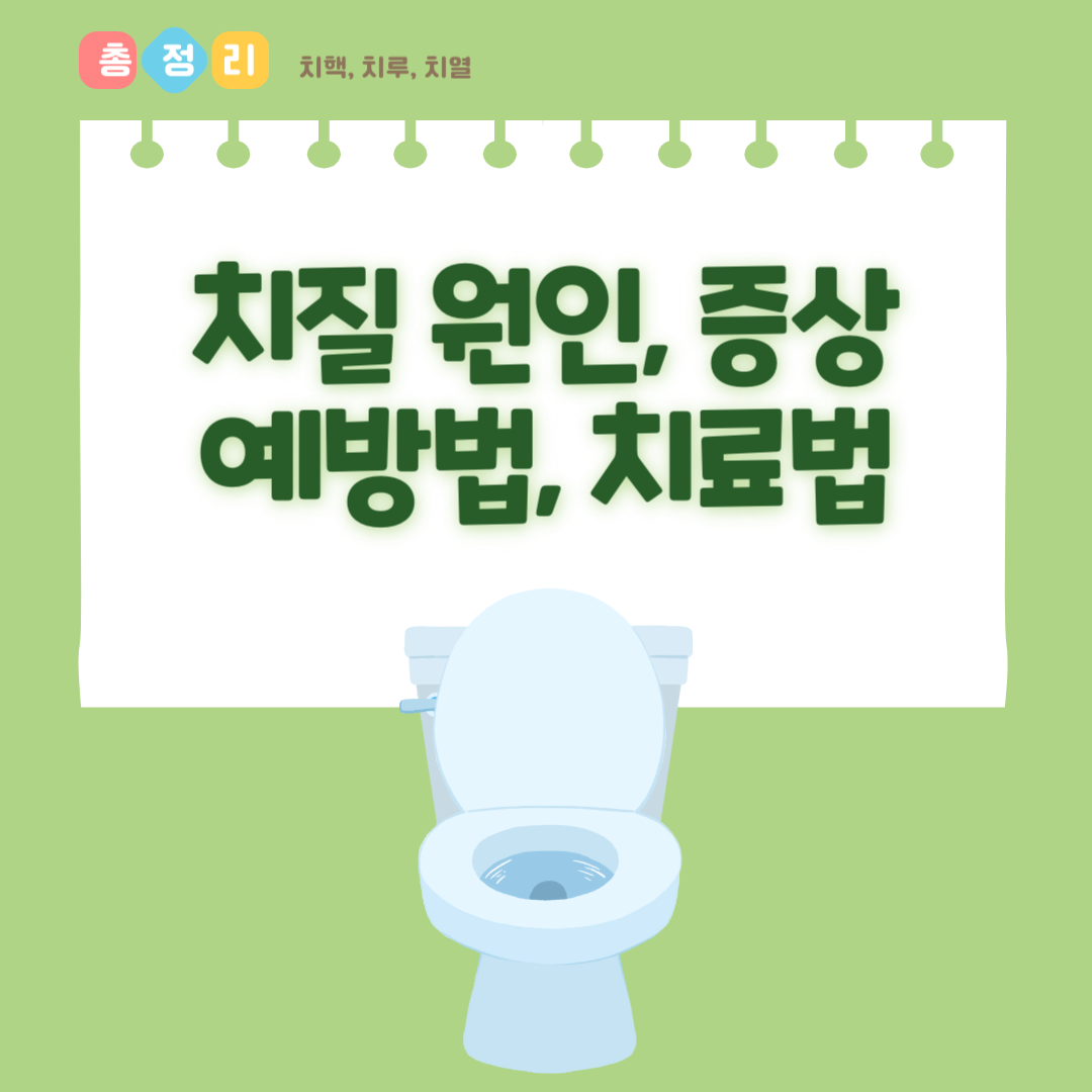 치질 원인과 증상 예방법 치료법 총정리