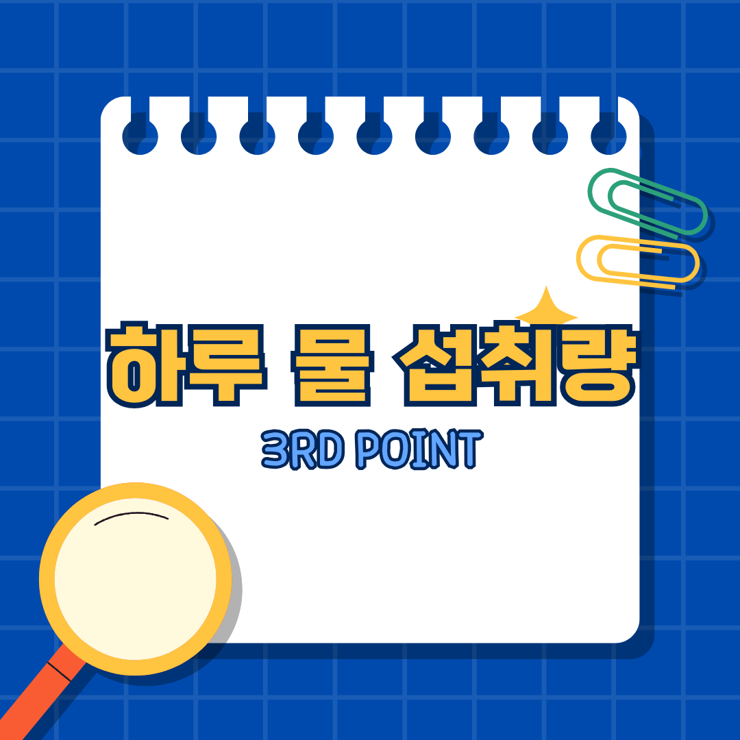 물 얼마나 마셔야 건강할까 하루 물 섭취량의 진실