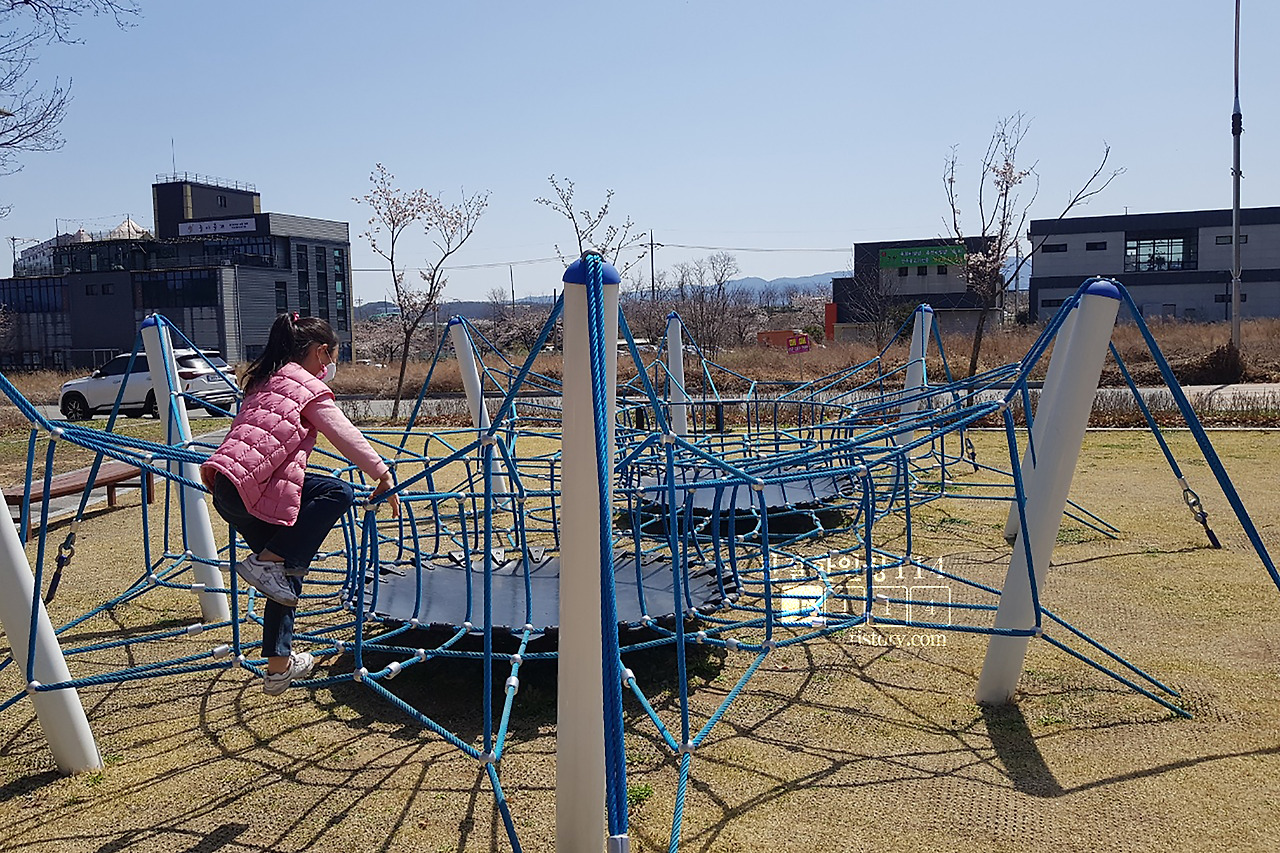 벚꽃놀이 명소 울산 언양 작천정 벚꽃길 Plus 벚꽃개화시기ㅣ주변카페정보