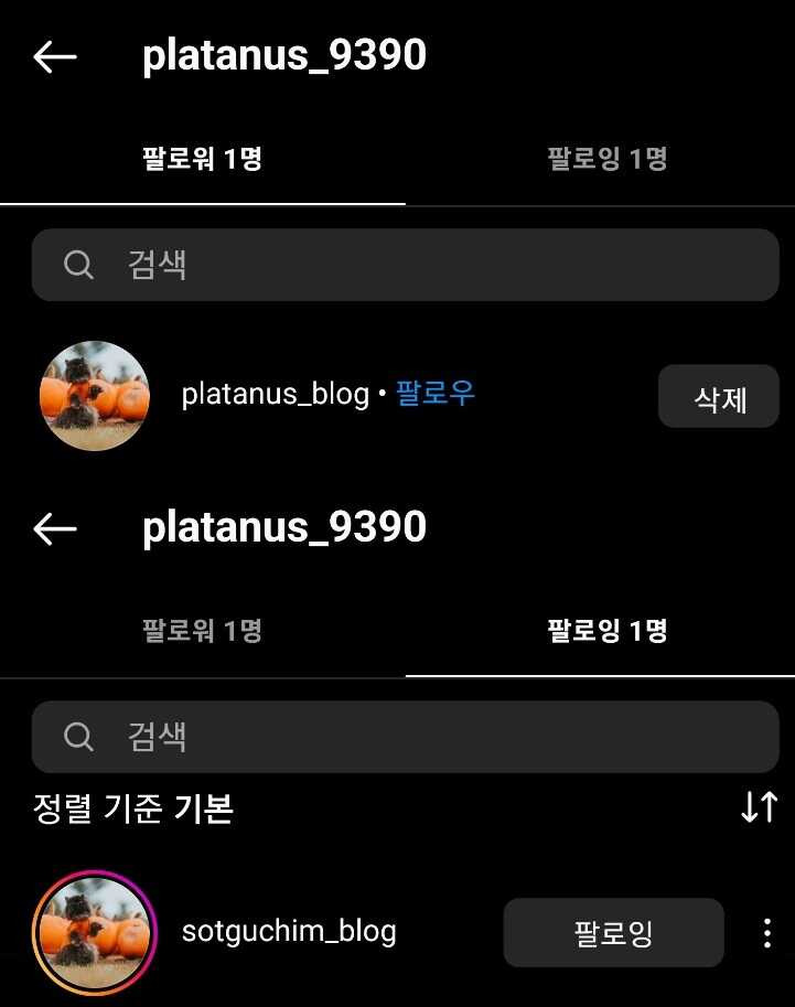 인스타그램 비공개 스토리 몰래 보는 방법