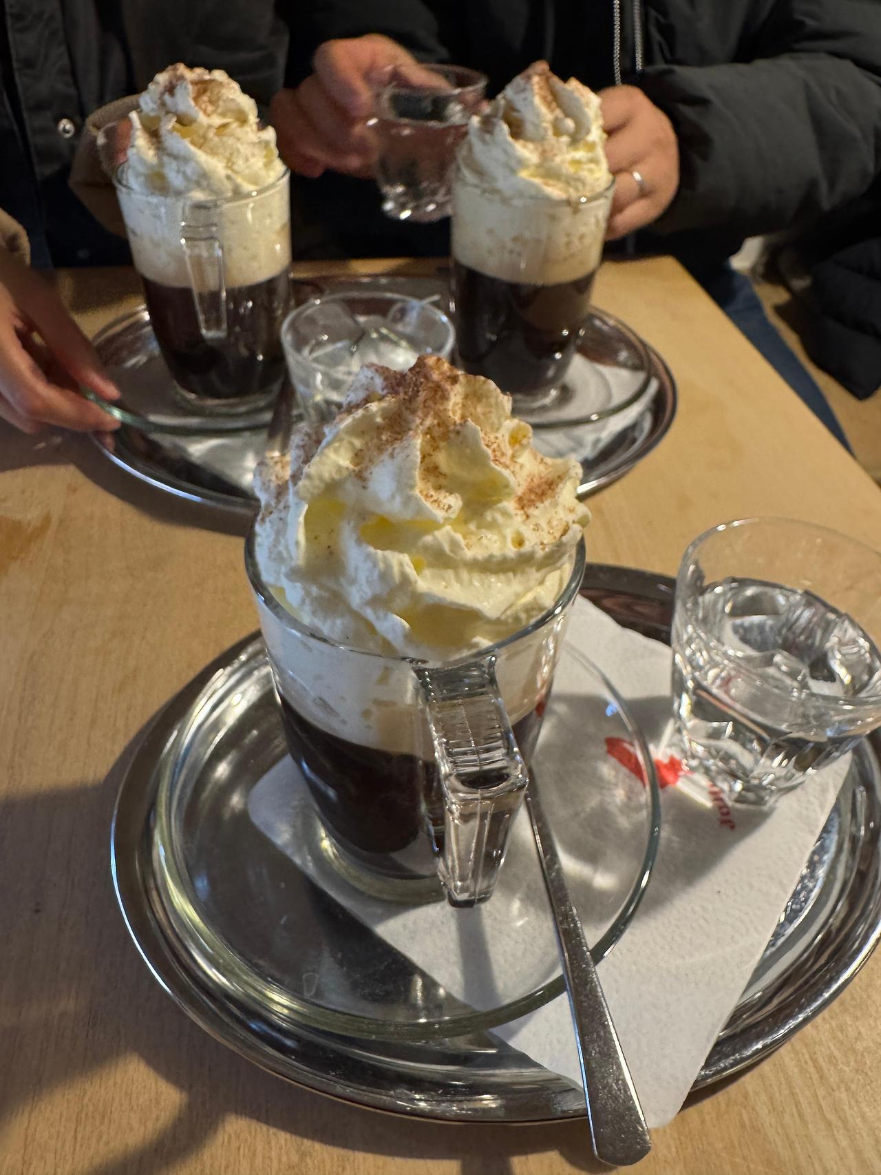 오스트리아🇦🇹 할슈타트 및 고사우 여행기록 3편