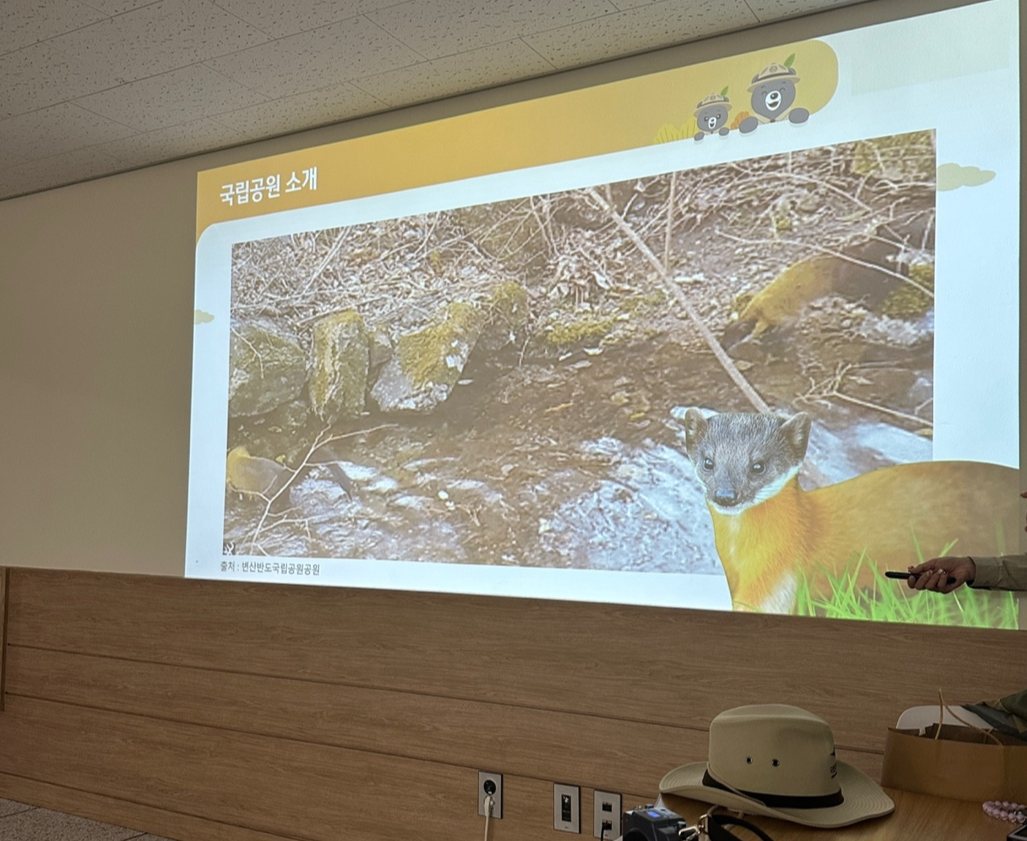 변산반도생태탐방원 오후프로그램 변산반도 세계지질공원으로 가geo 후기