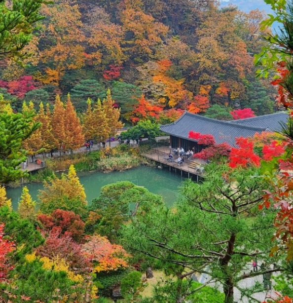 봄꽃이 만발하는 국내명소 BEST 4곳