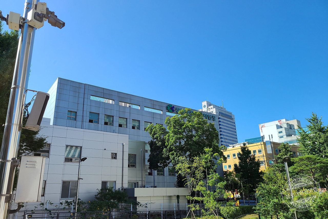 강남운전면허시험장에서 운전면허증 분실 재발급 사진변경 하기