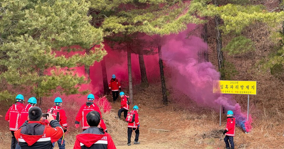 평창국유림관리소 봄철 유관기관합동 산불진화훈련 실시