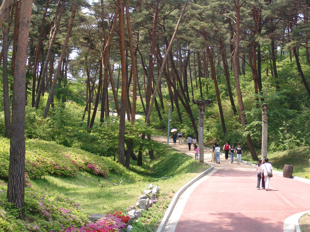 안면도자연휴양림 태안에서 즐기는 자연과 힐링