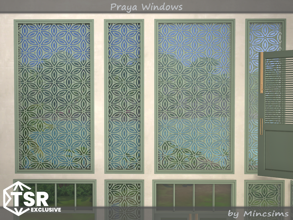 [TSR]Praya Windows