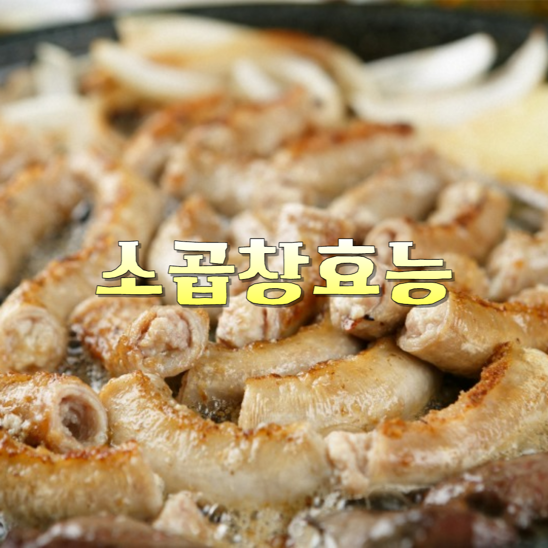 소 곱창 효능 영양성분 고르는 법 부작용