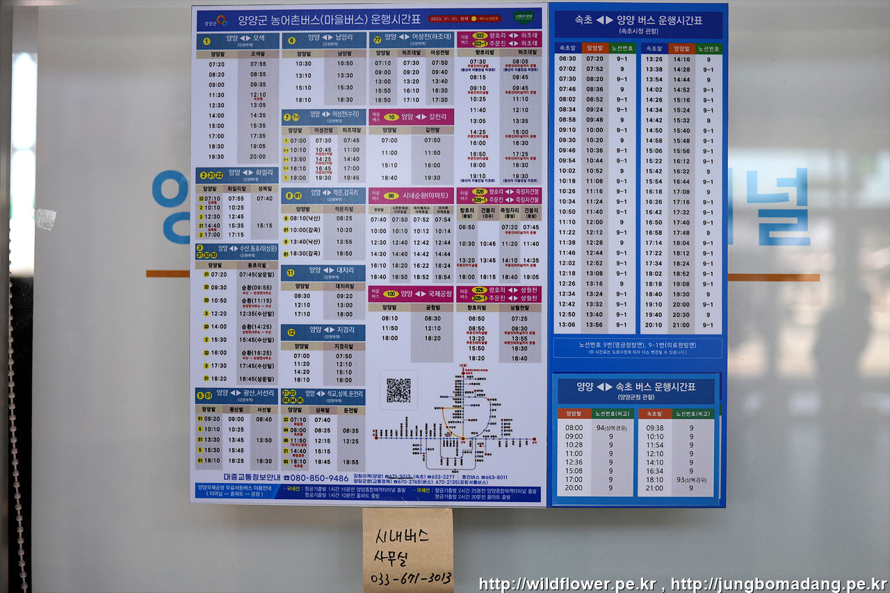 강원도 양양 휴휴암 기사문해변 삼팔횟집 하조대해변 대중교통 당일치기 여행 2023 12 29