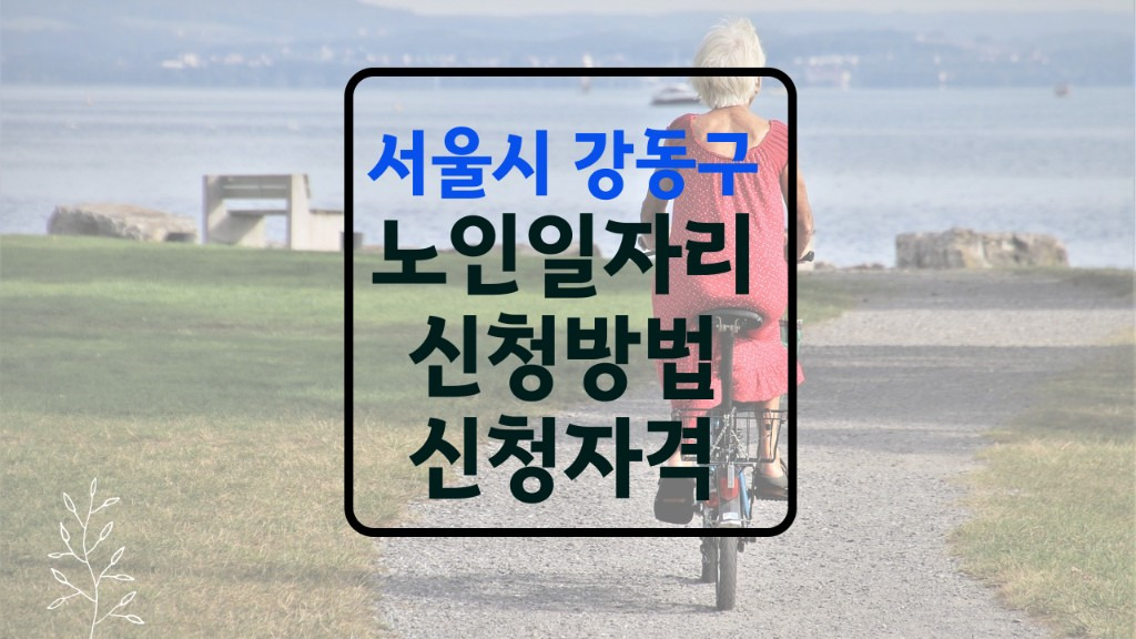 서울시 강동구 2025년 노인일자리 신청방법과 신청자격 강동구 시니어 일자리 급여