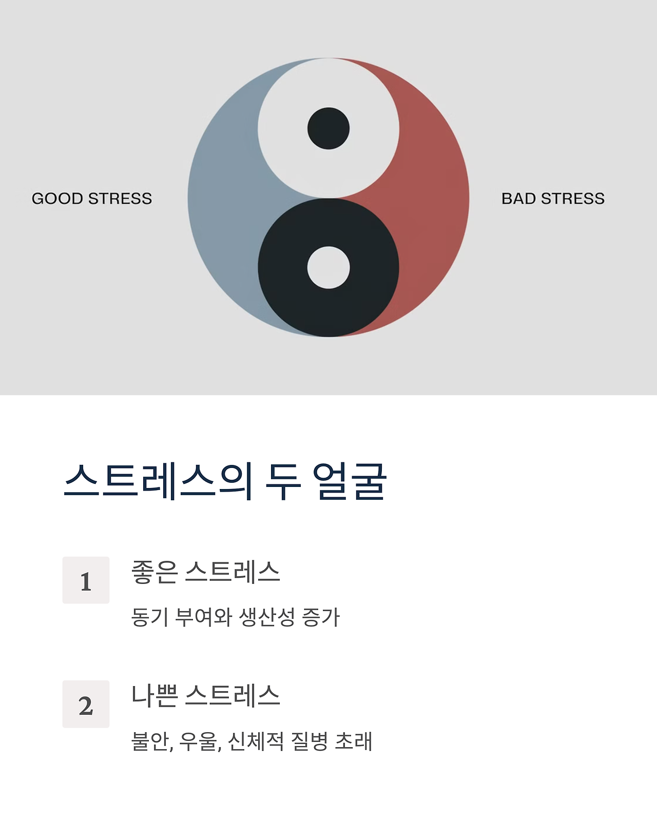 스트레스란 무엇인가 기본 개념과 이해