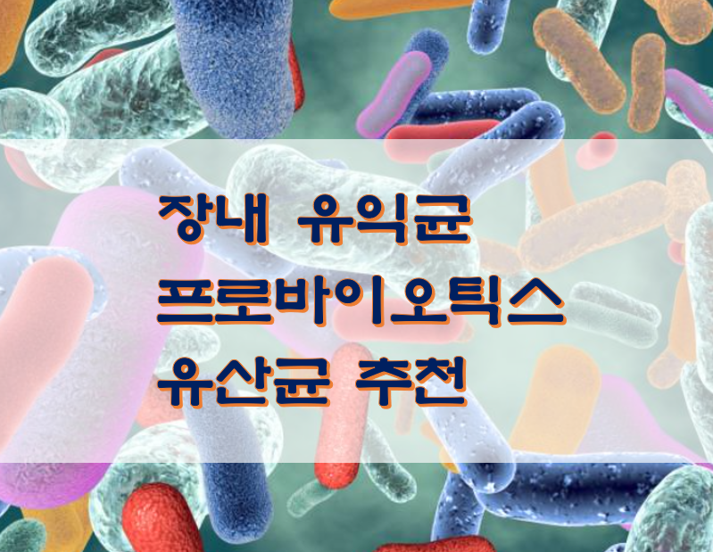 장내 유익균 프로바이오틱스 유산균 추천