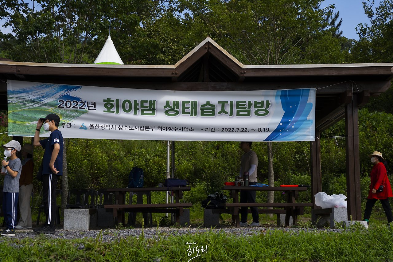 딱 여름철 한달간만 가볼수 있는 울산 비밀의화원