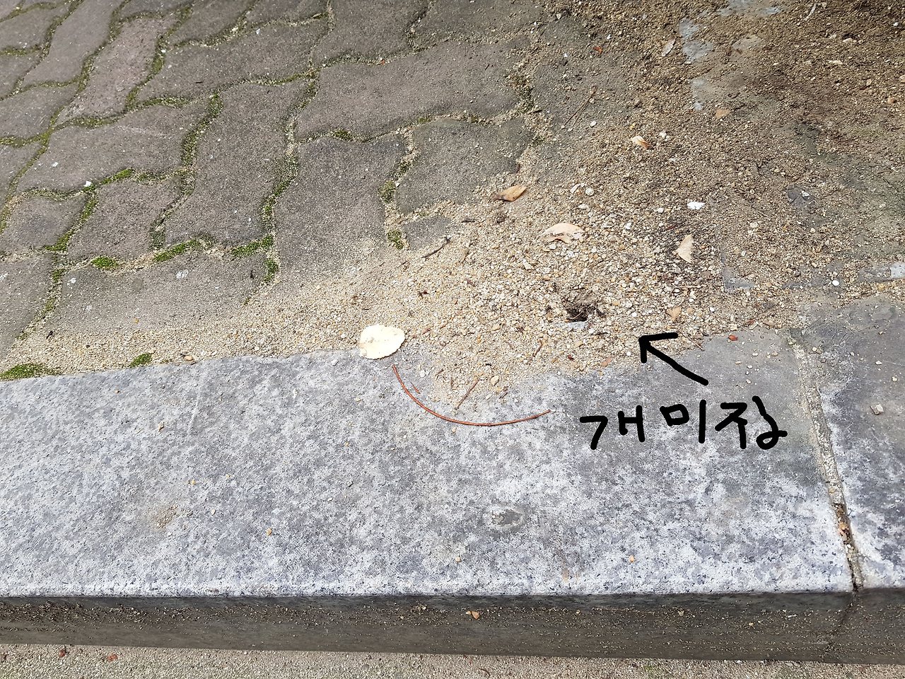 손주와 개미집을 찾아서 역할놀이하면 언어능력 늘어난다