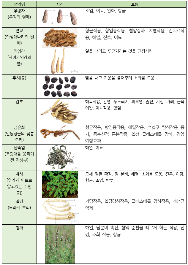 약사의 쎄파렉신캡슐 핵심 요약 정리효능 부작용 등 은교산