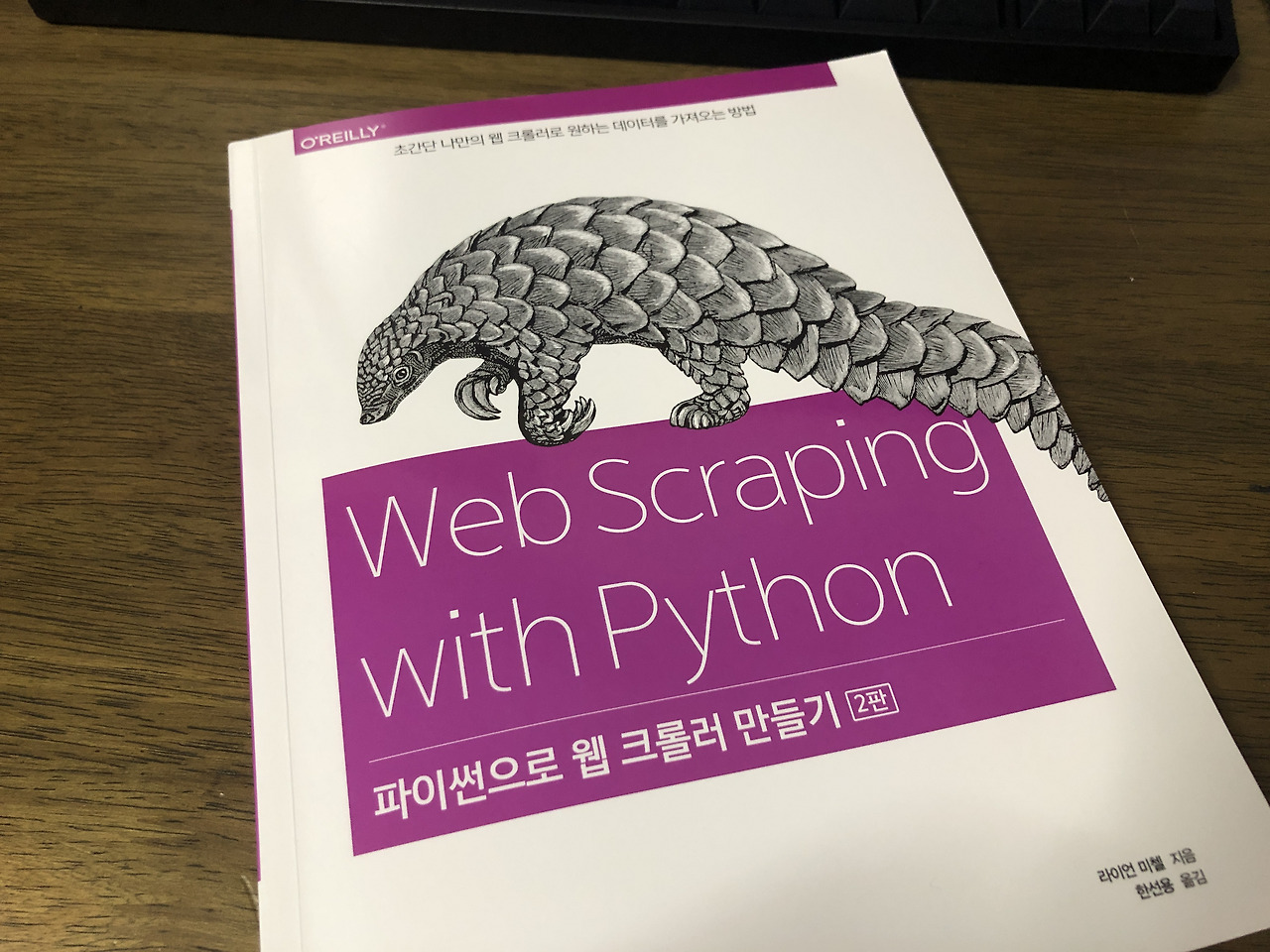 파이썬으로 웹 크롤러 만들기 책 리뷰 (Web Scraping with Python)