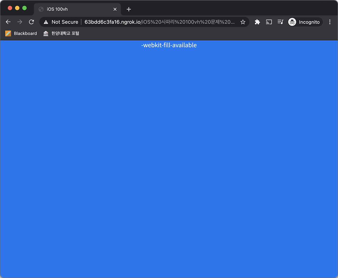 inje-blog-ios-100vh