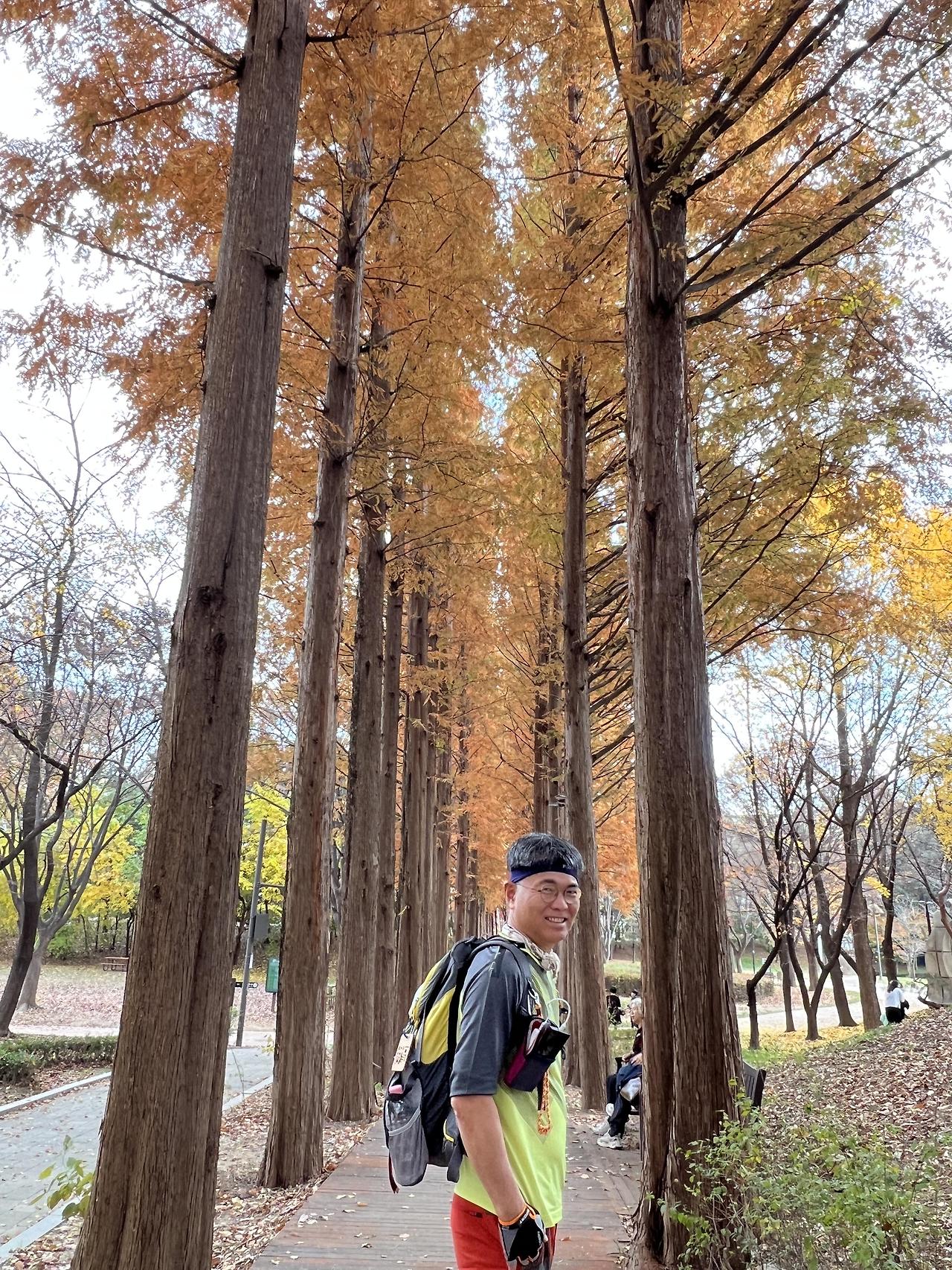 완만한 등산로를 지나온 상황에서 만난 우면산은 험한 산이라 할 수 있다 이미 10km 를 훌쩍 넘는 산행을 이어 와서 체력도