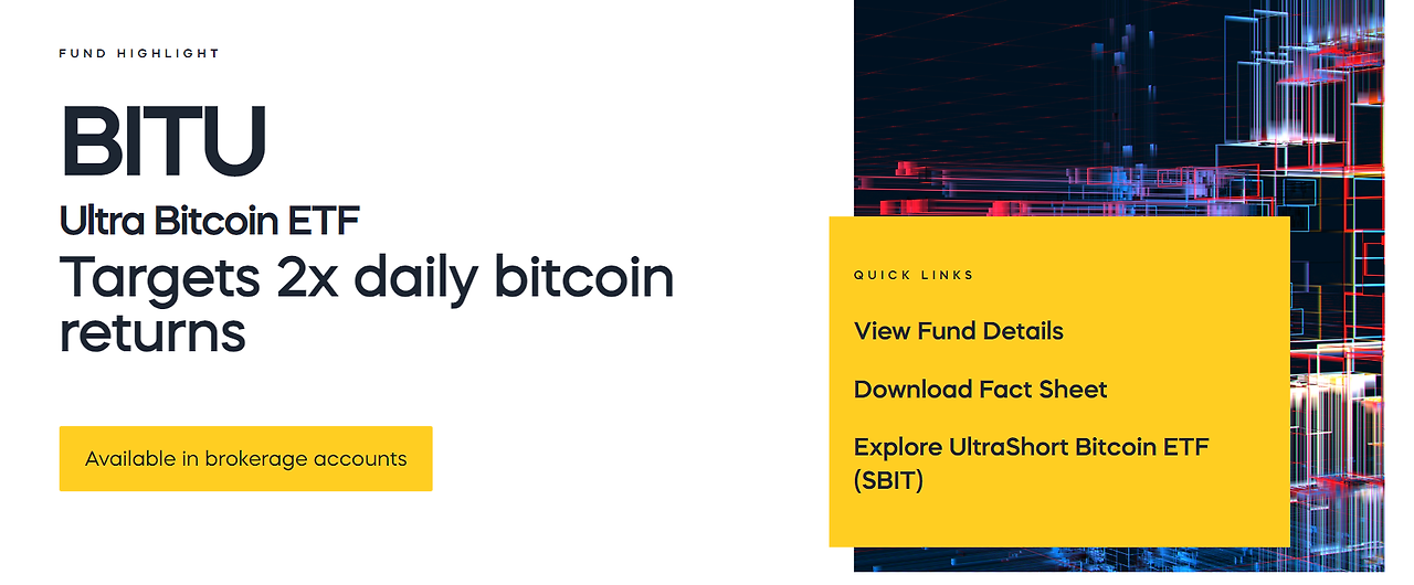 BITU ETF에 대해 알아보기 (BITX와 비교, 배당 정보 : 배당금, 배당일, 배당락일, 주가 전망)