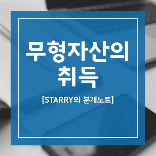 무형자산 취득의 종류 개발비 영업권 회계처리