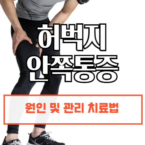 앉을 때 찌릿 허벅지 안쪽 통증 원인부터 관리법까지 완벽가이드