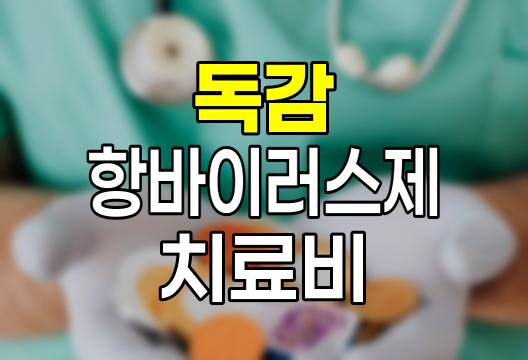 한화손해보험 독감 항바이러스제 치료비 특약 분석 메모리유
