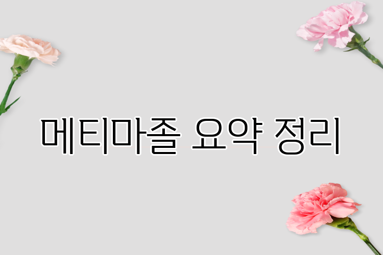 메티마졸methimazole로 갑상선기능항진증 관리하기 부작용과 주의사항까지 완벽 정리