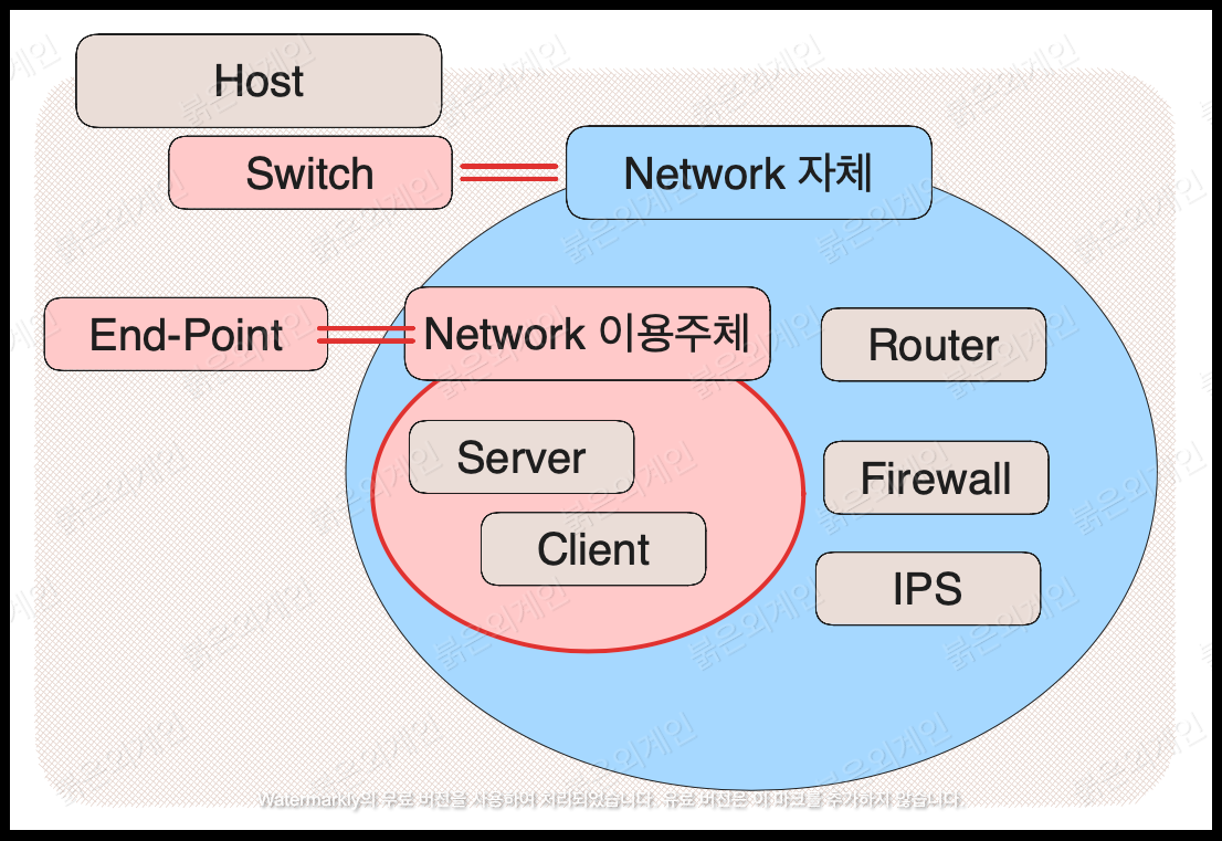 붉은외계인 네트워크 Network의 의미와 호스트 스위치의 관계 붉은외계인