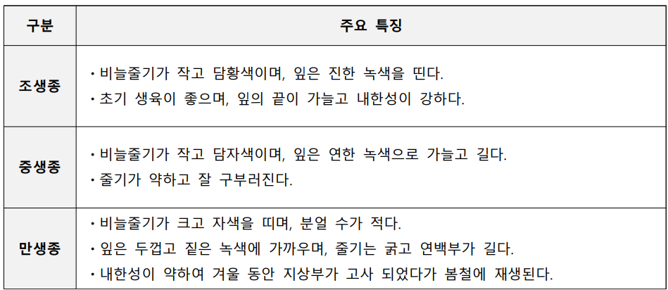 쪽파 재배